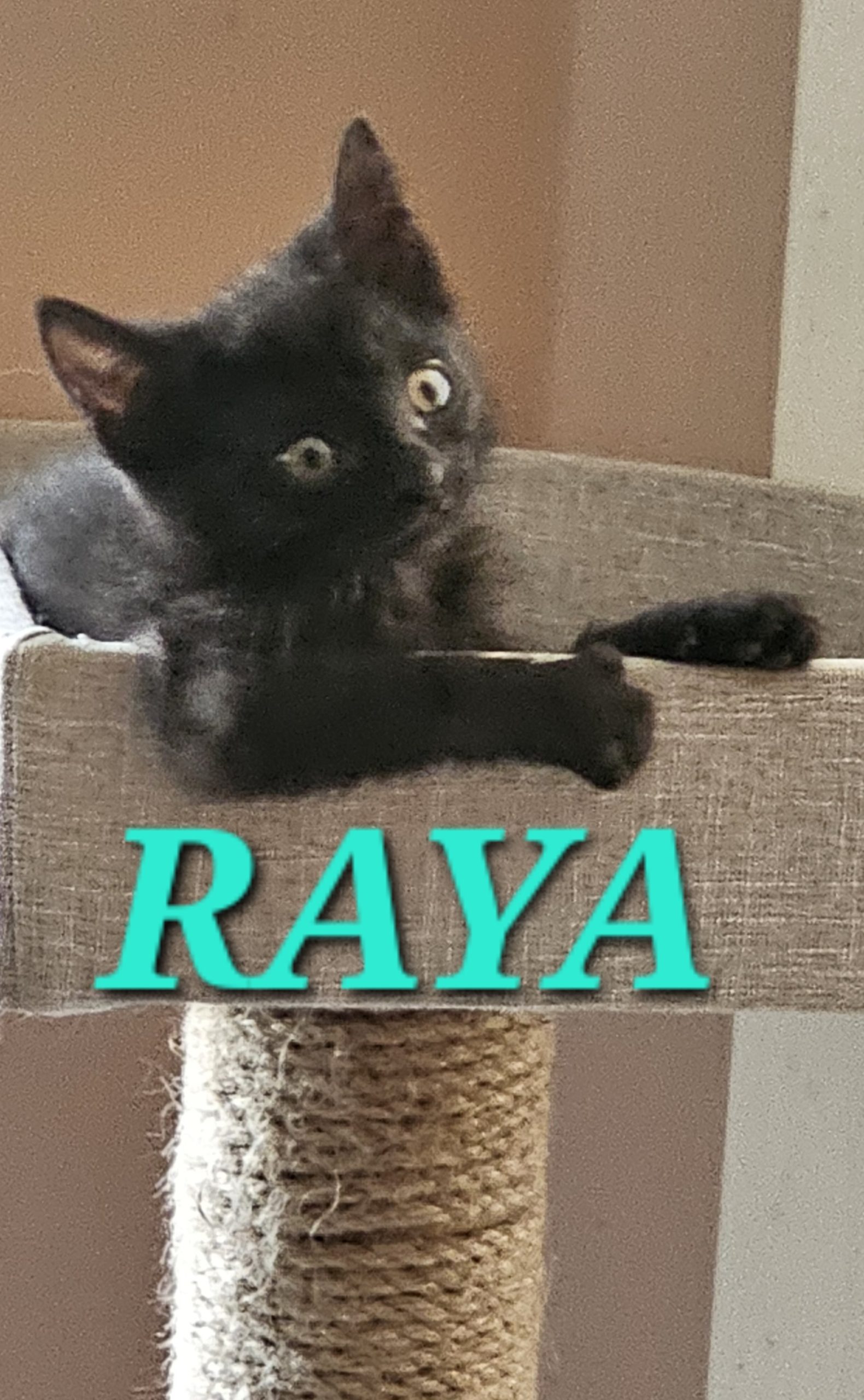 Raya