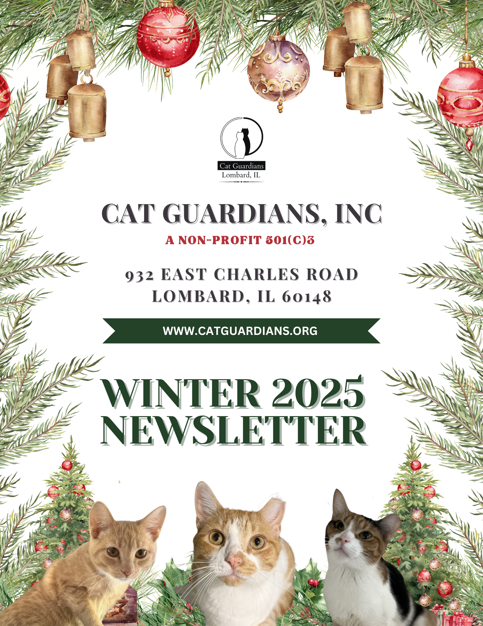 Cat Guardians